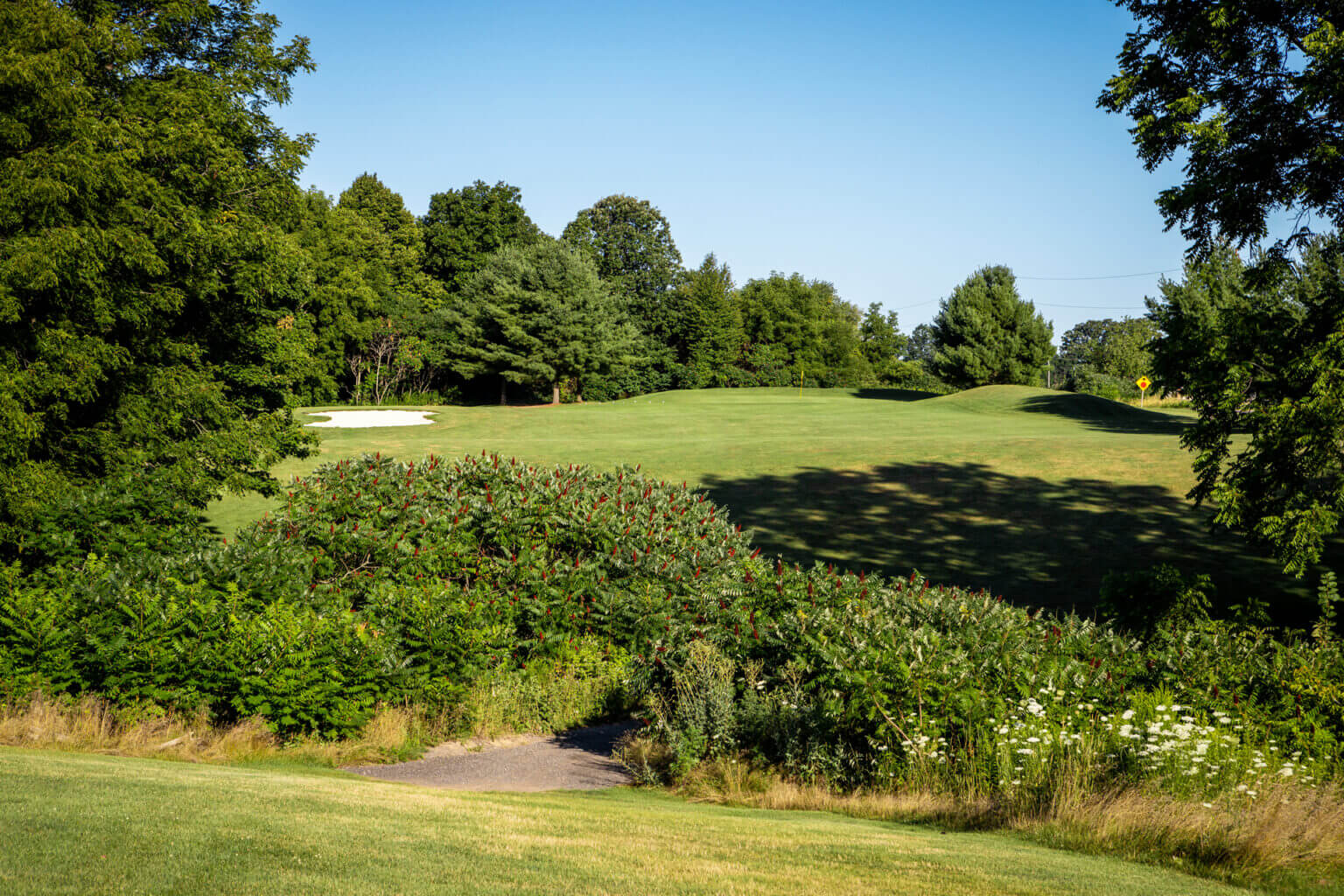 Gallery – Eden Golf Club